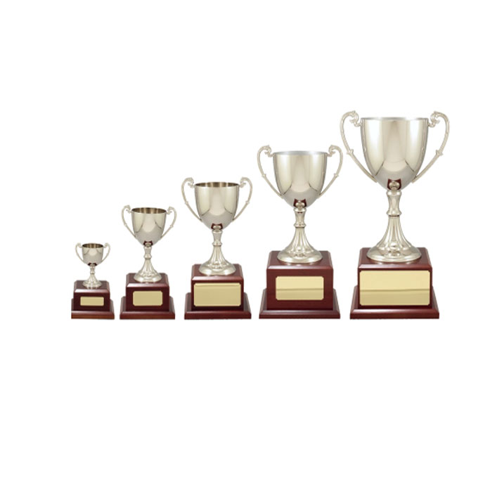 NICKEL PLATED ENGRAVABLE TROPHY CUPS 160-430mm (TC25 CUP194 ) TOP ...
