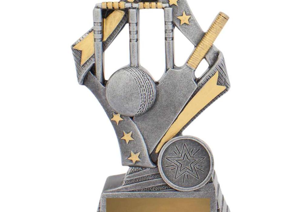 Cricket Flag Series All Rounder Trophy ( TC25 29740 ) - Mid City Gift ...